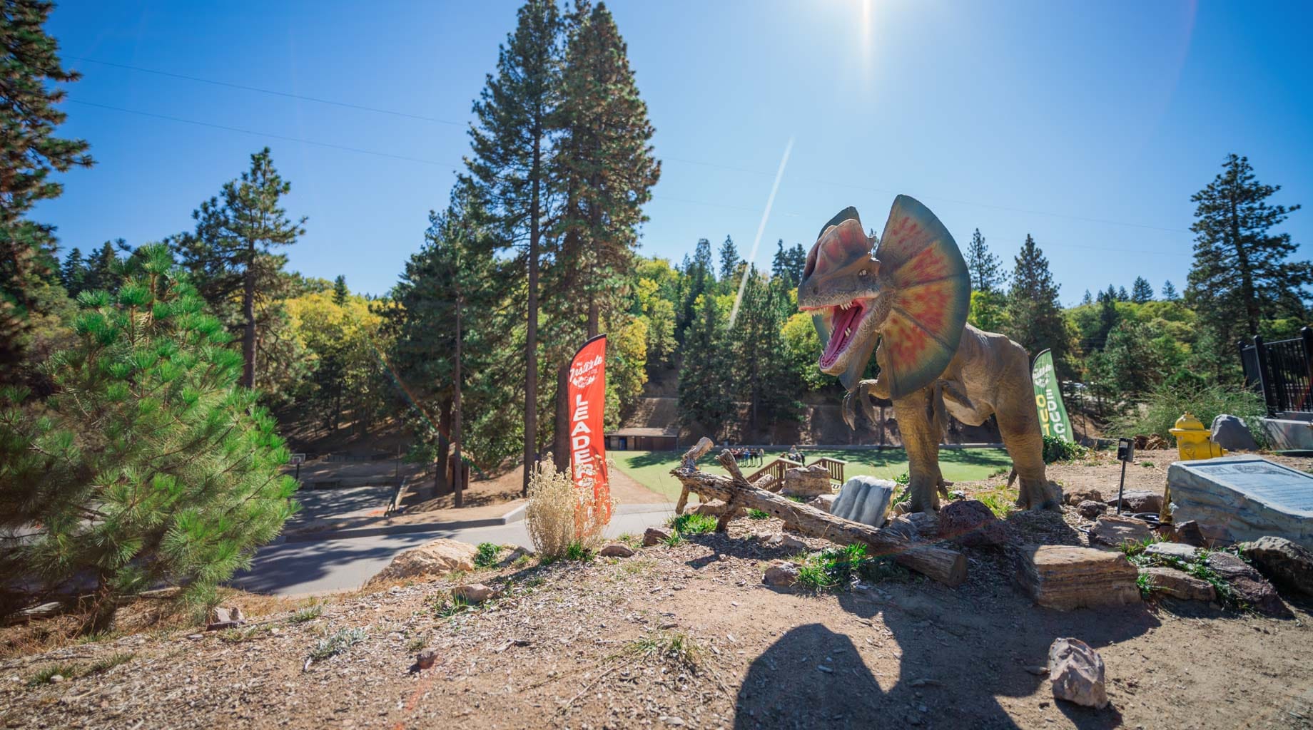 History of Pali Adventures Summer Camp in Southern California